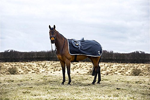 Top 10 Cheap Horse Quarter sheets 2018 - Best Horse Blankets