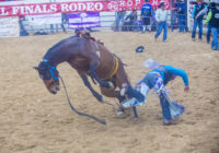 30 Most Exciting Rodeos in North America - Best Horse Blankets