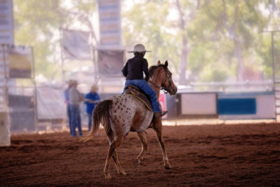 30 Most Exciting Rodeos in North America - Best Horse Blankets
