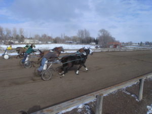 30 Most Exciting Rodeos in North America - Best Horse Blankets