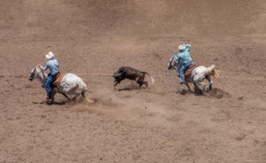 30 Most Exciting Rodeos in North America - Best Horse Blankets